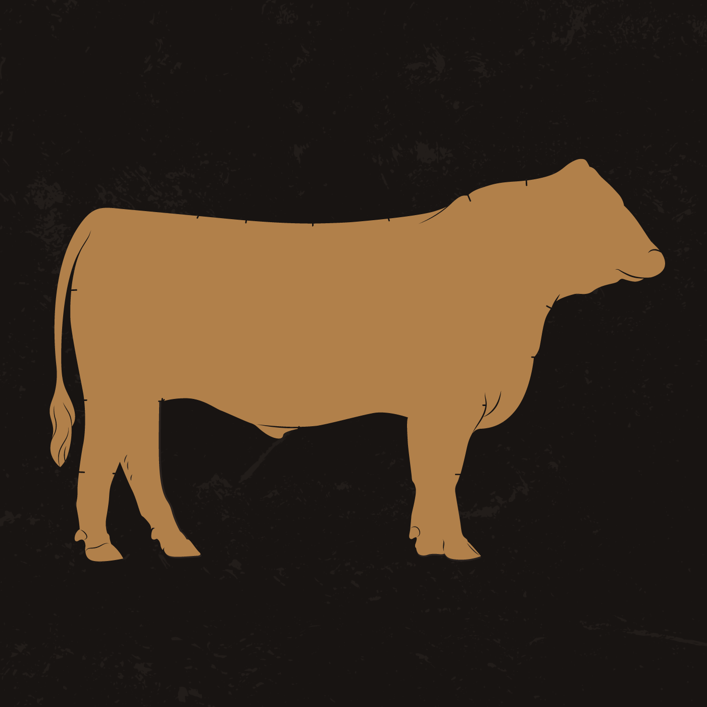 Beef Box | Online Meat Delivery Service – Mocatta Creek Beef Co | Beef Box